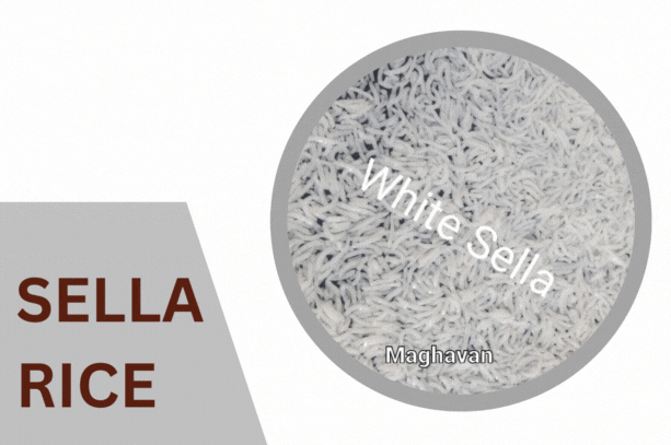 MAGHAVAN ENTERPRISES